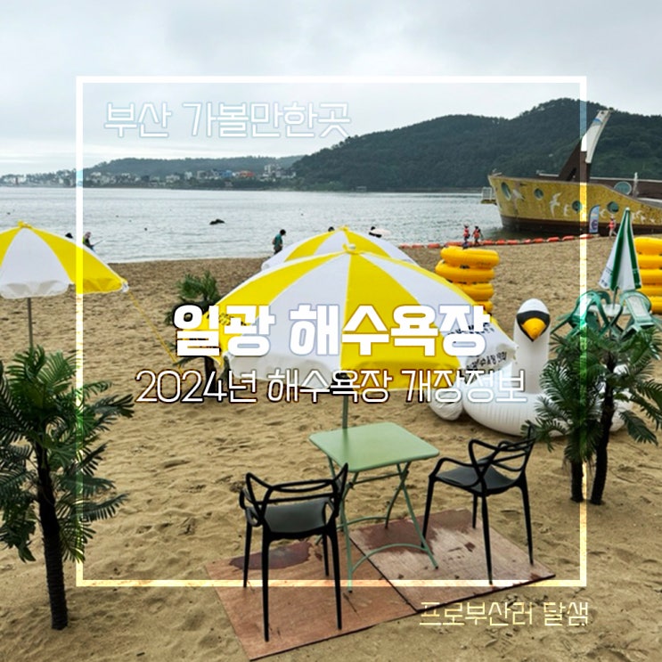 부산 기장 일광 해수욕장 개장 주차 샤워장 위치 파라솔 튜브 대여 가격 네이버 블로그