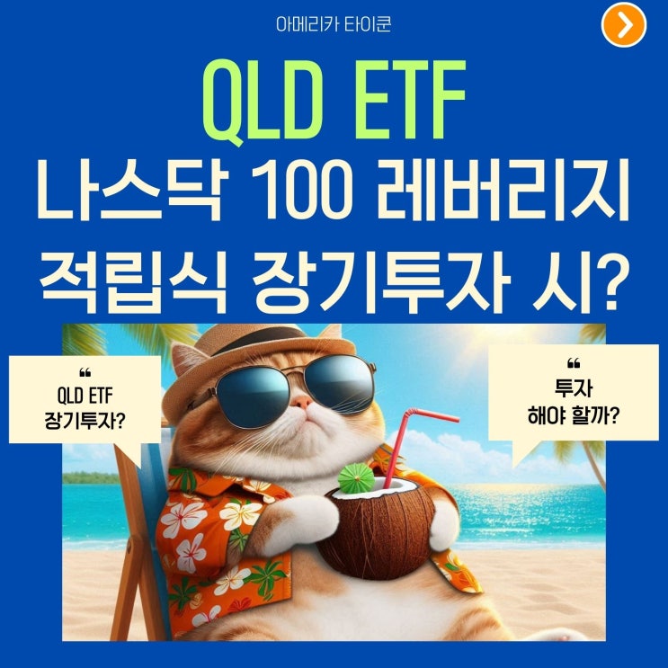 미국 QLD ETF 매월 적립식 100만 원 장기투자 시 배당, 수익률은? : 네이버 블로그