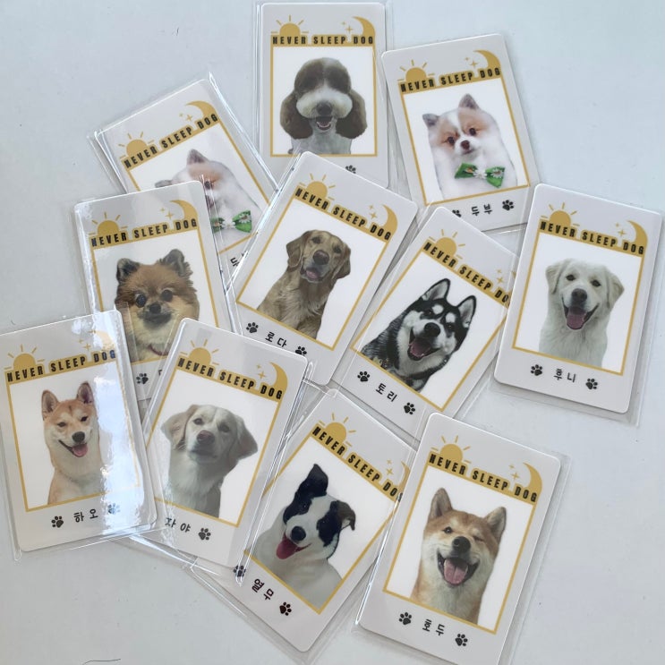 천안중대형견 정기유치원 학생증 : 네이버 블로그