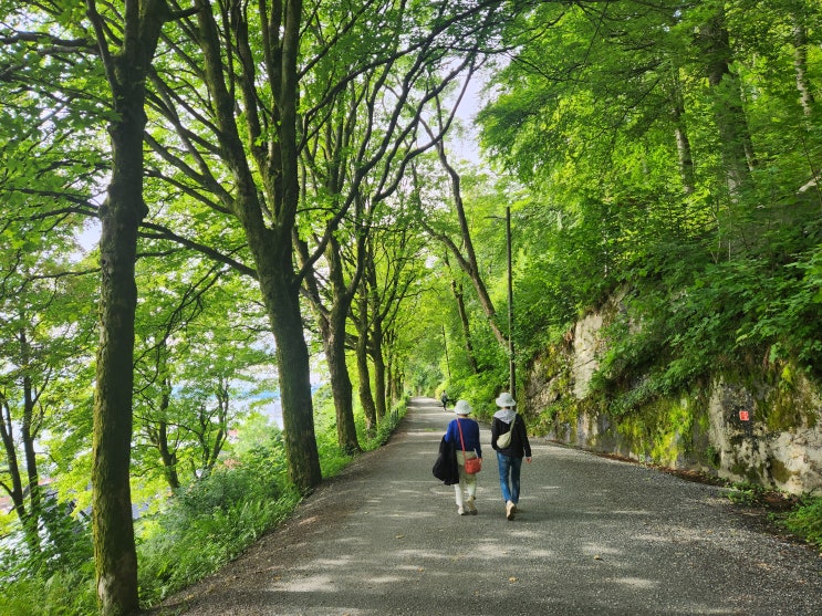 베르겐(Bergen) 산책 - 노르웨이 트레킹 7일차(2) : 네이버 블로그