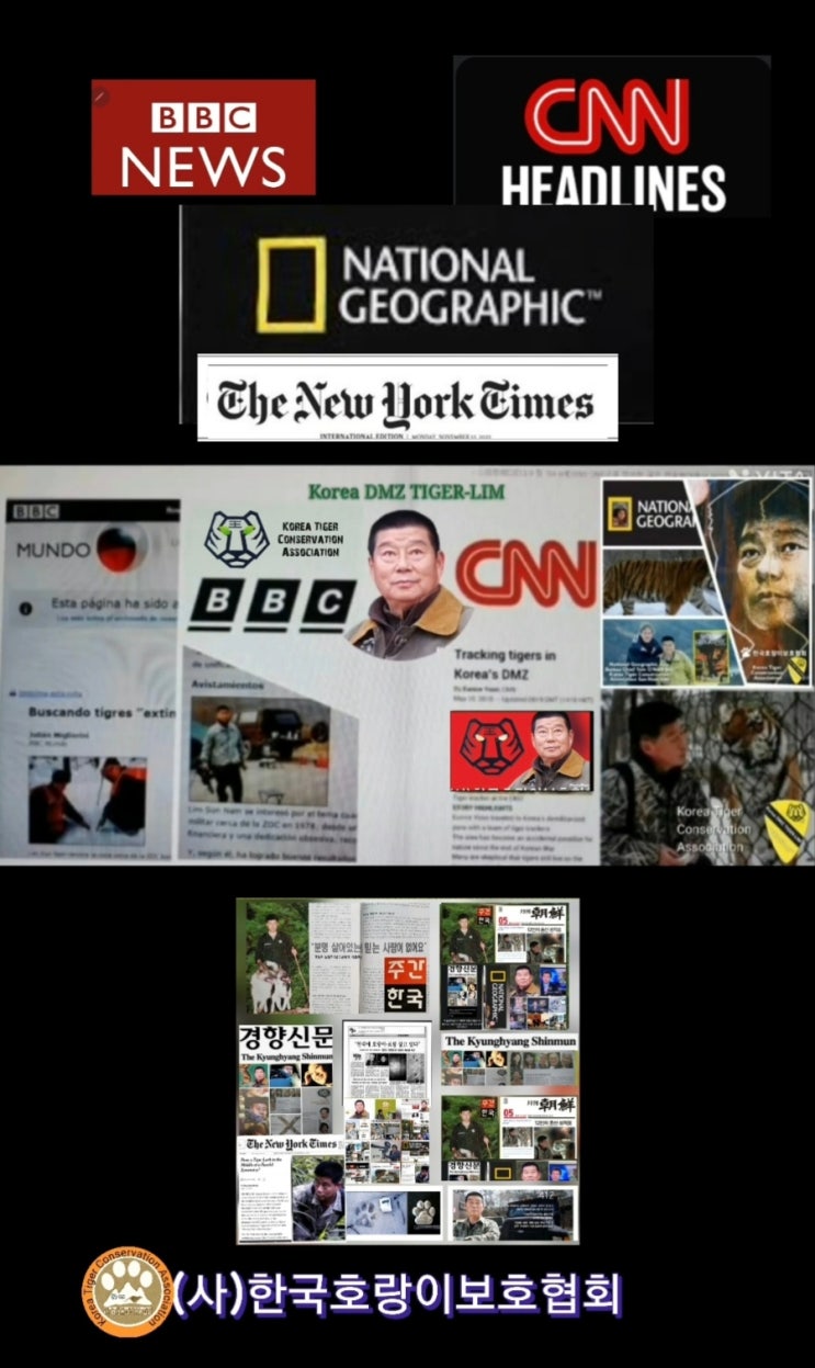 BBC.CNN. New York Times.National Geographic : 네이버 블로그