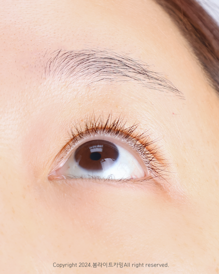 속눈썹영양제추천 래쉬애딕트 lashaddict 바르는 법 : 네이버 블로그