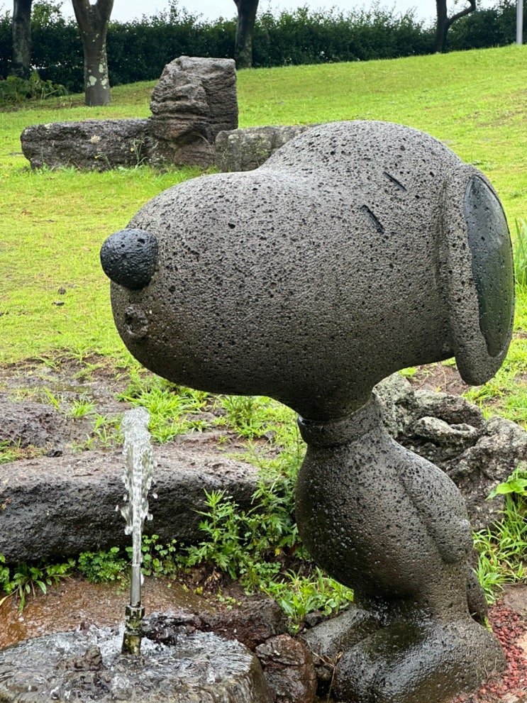 제주도 스누피가든에 다녀왔다🍊 : 네이버 블로그