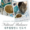 내추럴발란스 고양이사료추천 오리지날 울트라 그레인프리 인도어 닭and연어 N번째 헤어볼토 걱정이라면 네이버 블로그