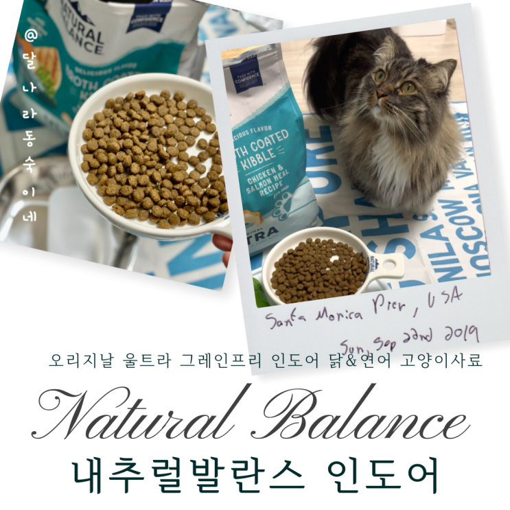 내추럴발란스 고양이사료추천 오리지날 울트라 그레인프리 인도어 닭and연어 N번째 헤어볼토 걱정이라면 네이버 블로그