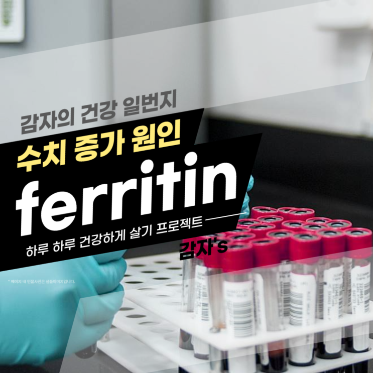 ferritin 수치 증가 원인 정상 범위 검사 목적 : 네이버 블로그