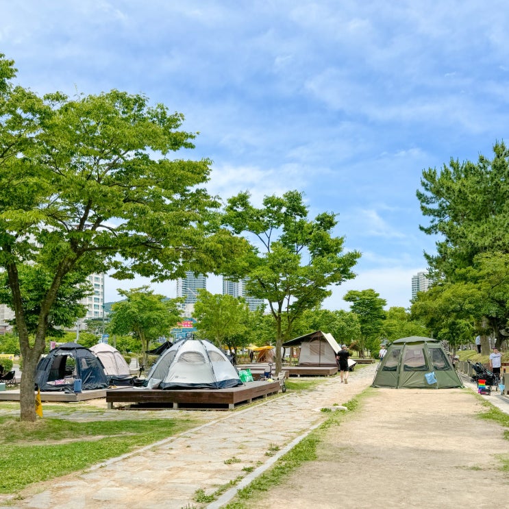 여수 웅천친수공원 캠핑장 8월 여수 해수욕장 가볼만한곳 네이버 블로그