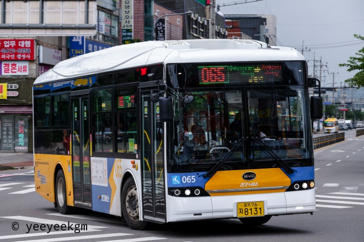 파주 기흥여객 065번 8131호 BYD E-BUS9 EV 2023 : 네이버 블로그