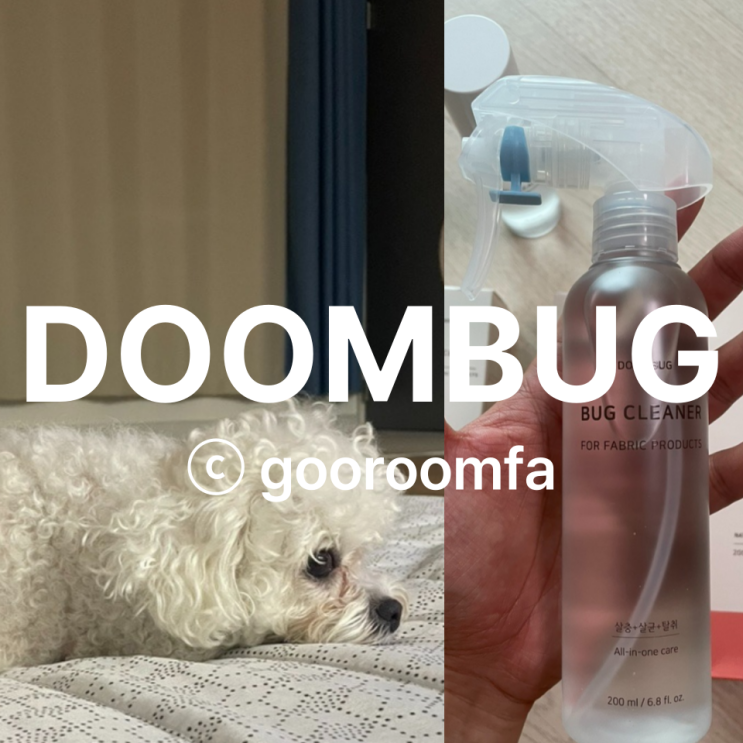 천연 살충제 버그크리너 둠벅 피레트린 해외여행 필수품 빈대 집먼지 집진드기 퇴치제 : 네이버 블로그