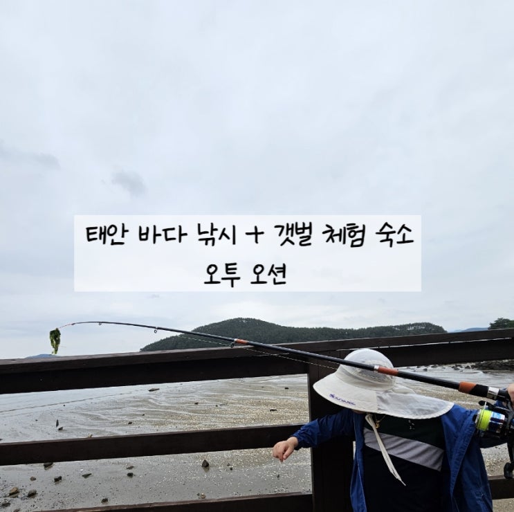 태안 갯벌 체험 펜션 오투오션 바로 앞 바다에서 낚시 바지락 갯벌체험하기 네이버 블로그