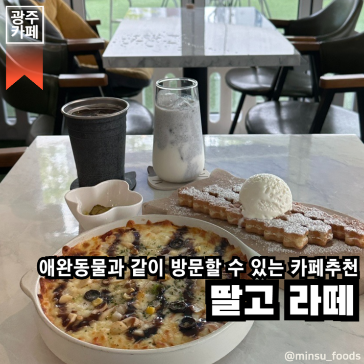 광주 광산구 주말 나들이하기 좋은 고양이 카페분양 가능 야외 테라스 네이버 블로그