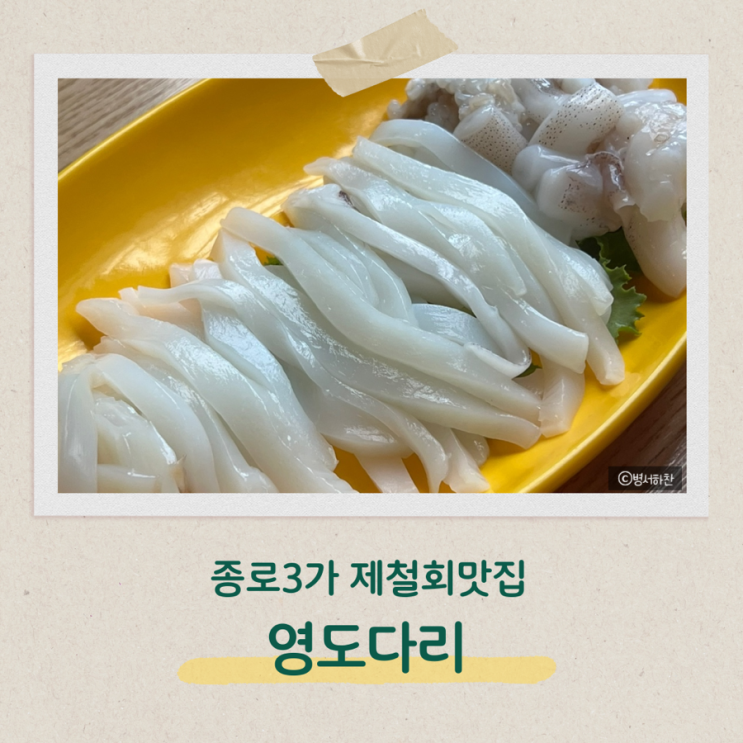 영도다리 종로3가 포차거리 제철 해산물 무늬오징어회 네이버 블로그