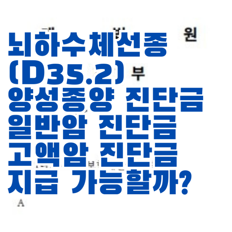 뇌하수체선종(D35.2,D44.3) 양성종양진단금 일반암진단금 고액암진단금 지급이 가능할까요? : 네이버 블로그