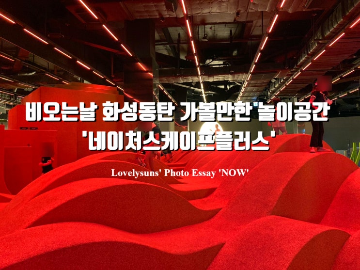 비오는날 아이들과 함께 화성동탄 가볼만한곳 실내 어드벤처 테마파크 놀이공간 네이처스케이프 플러스 네이버 블로그
