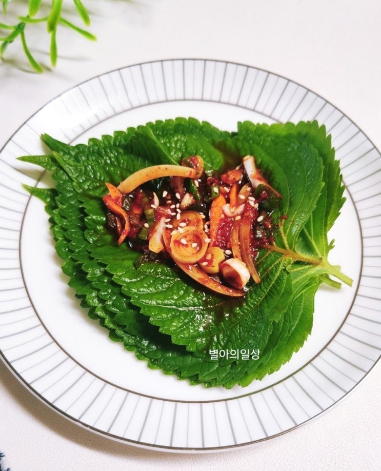 생깻잎김치 만드는법 깻잎 40장 백종원 깻잎무침 양념장 레시피 깻잎반찬 네이버 블로그