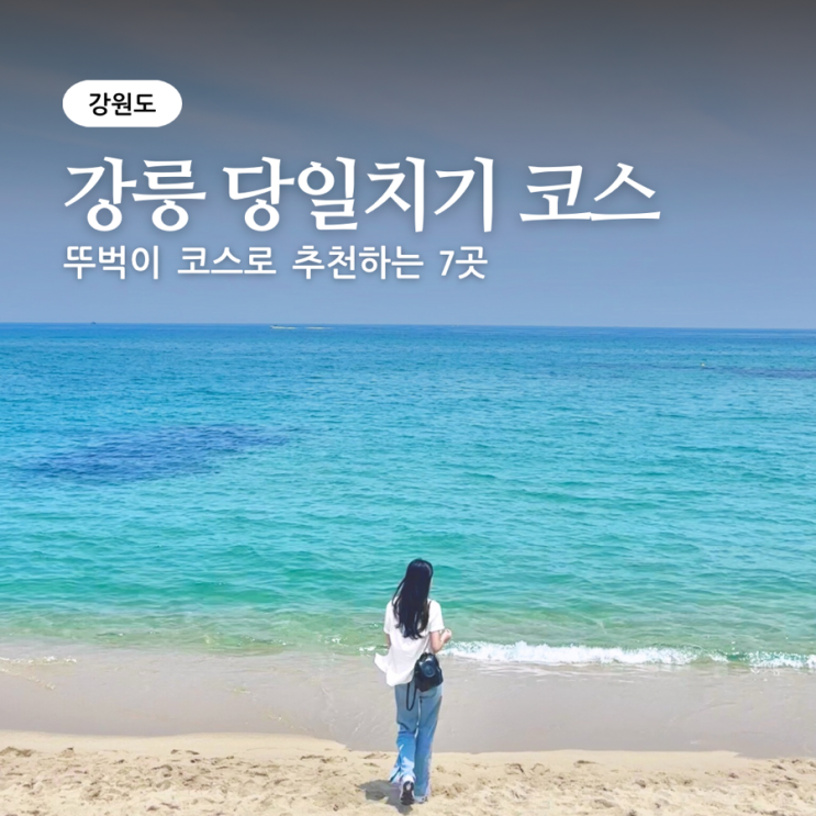 강릉 당일치기 뚜벅이 여행 코스 솔올미술관 포함 놀거리 7곳 네이버 블로그
