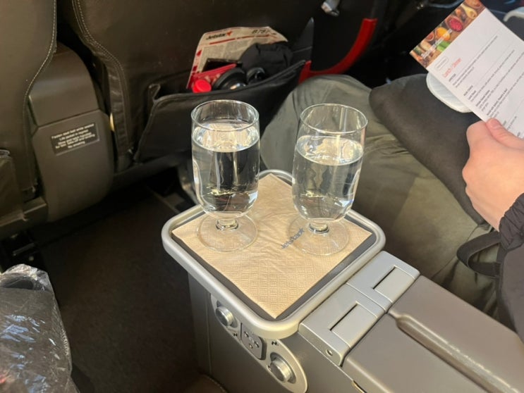 호주 시드니-서울 인천, 젯스타 JQ47 비즈니스 가성비 최고 : 네이버 블로그