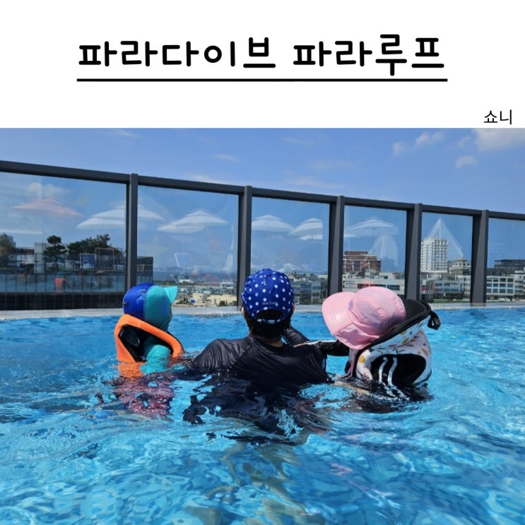 시흥 워터파크 파라다이브 파라루프 루프탑 수영장 준비물 네이버 블로그