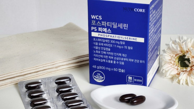 포스파티딜세린 솔직후기 및 효능 뇌영양제 확인 정보 네이버 블로그