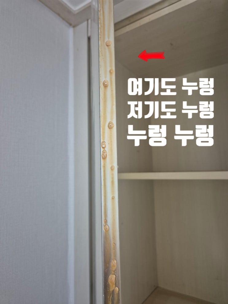 목포입주청소 누렇게 얼룩진 오염 청결의 이름으로 용서하지 않겠다 네이버 블로그