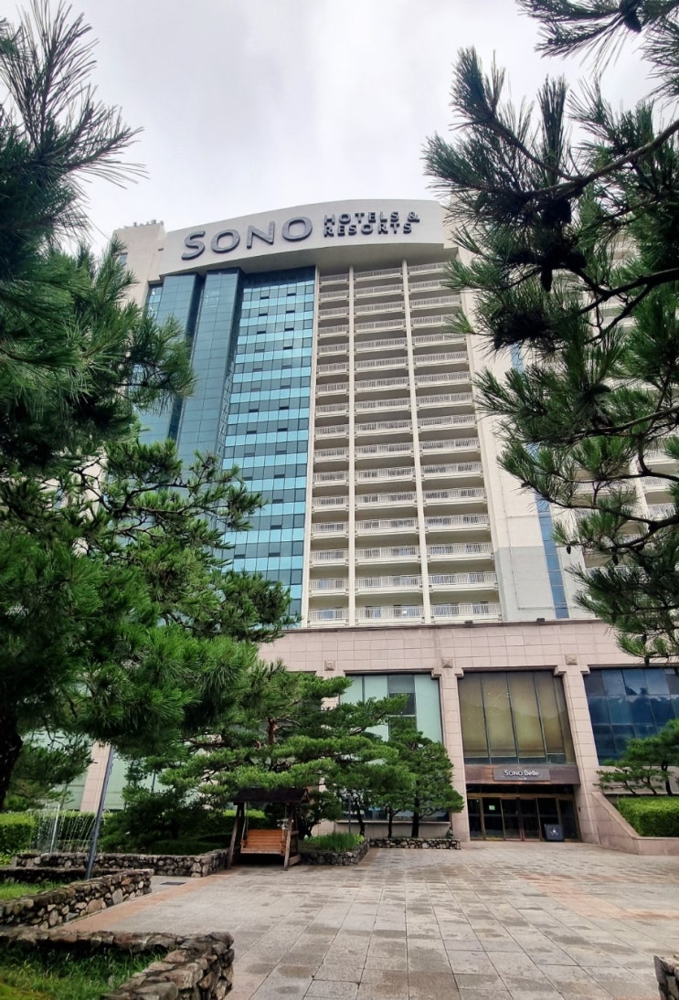 소노벨 비발디파크 C동 패밀리 스탠다드 세미취사객실 숙박 후기홍천 숙소 추천 네이버 블로그