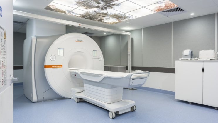 척추 MRI (Magnetic resonance imaging of the spine) : 네이버 블로그