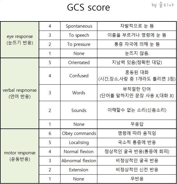 GCS (Glasgow Coma Scale) 알아보기. : 네이버 블로그