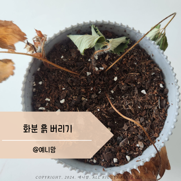 화분 흙 버리기 깨진 화분 버리는 법 불연성쓰레기봉투는 어디서 네이버 블로그