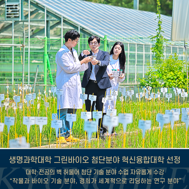 [ 2024 경희 | FOCUS HIGHLIGHT ] : 네이버 블로그