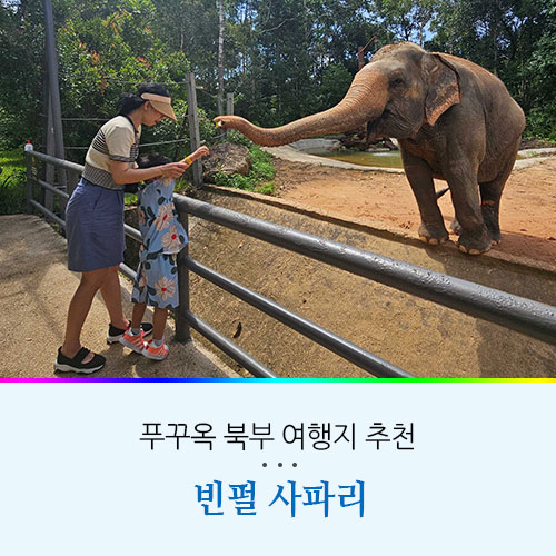 푸꾸옥 빈펄 사파리 트램 가격 가족여행 지도 입장권 정보 네이버 블로그
