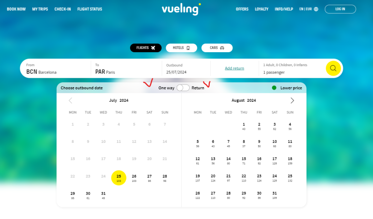 유럽 저가항공 예약하기 부엘링항공 예약 수하물 추가 Tip 부엘링 위탁수하물 부엘링항공 주의점 부엘링항공 예약 Tip
