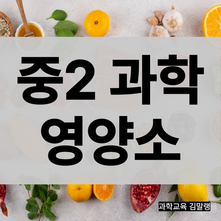 중2 과학 교과서 완벽하게 분석하기 ② 영양소주 영양소 부 영양소 네이버 블로그