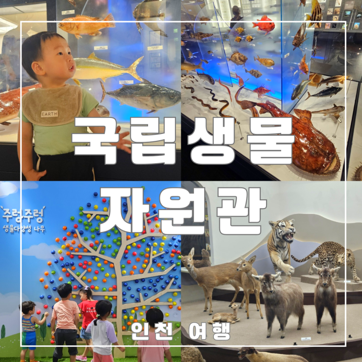 인천 서구 아이와 갈만한 곳 국립생물자원관 생생채움 솔직후기 네이버 블로그