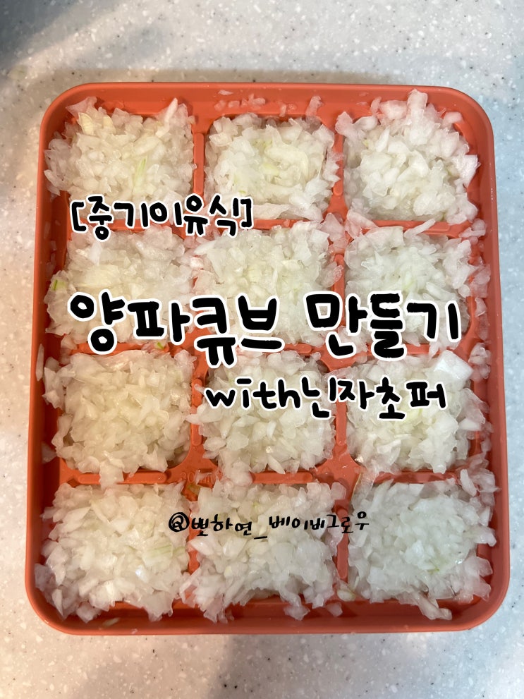 중기이유식 양파큐브 만들기 닌자초퍼 밥솥이유식토핑 무농약양파 네이버 블로그