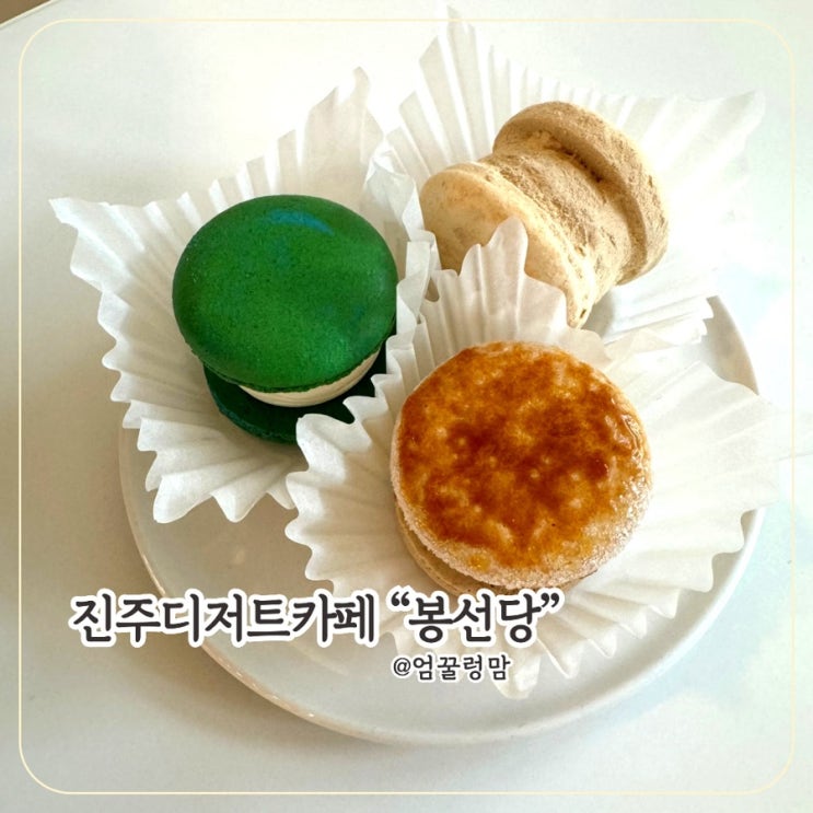 진주 초전동 디저트 카페 : 마카롱 맛집 봉선당 : 네이버 블로그