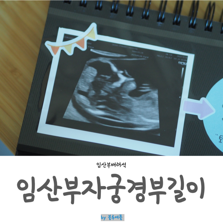 임산부 자궁경부길이 짧으면 조산 자궁수축증상 주의 네이버 블로그