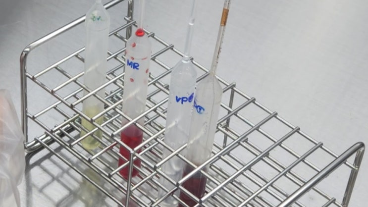 IMViC test - M-R(Methyl Red) : 네이버 블로그