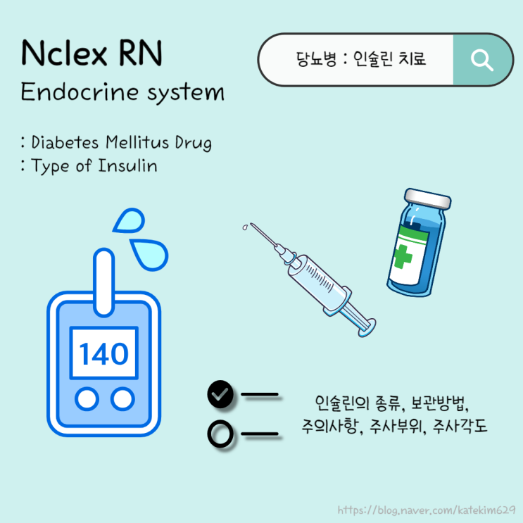 [Endocrine system] Nclex공부: Insulin Tx (Medications for DM) 인슐린, 경구혈당 ...