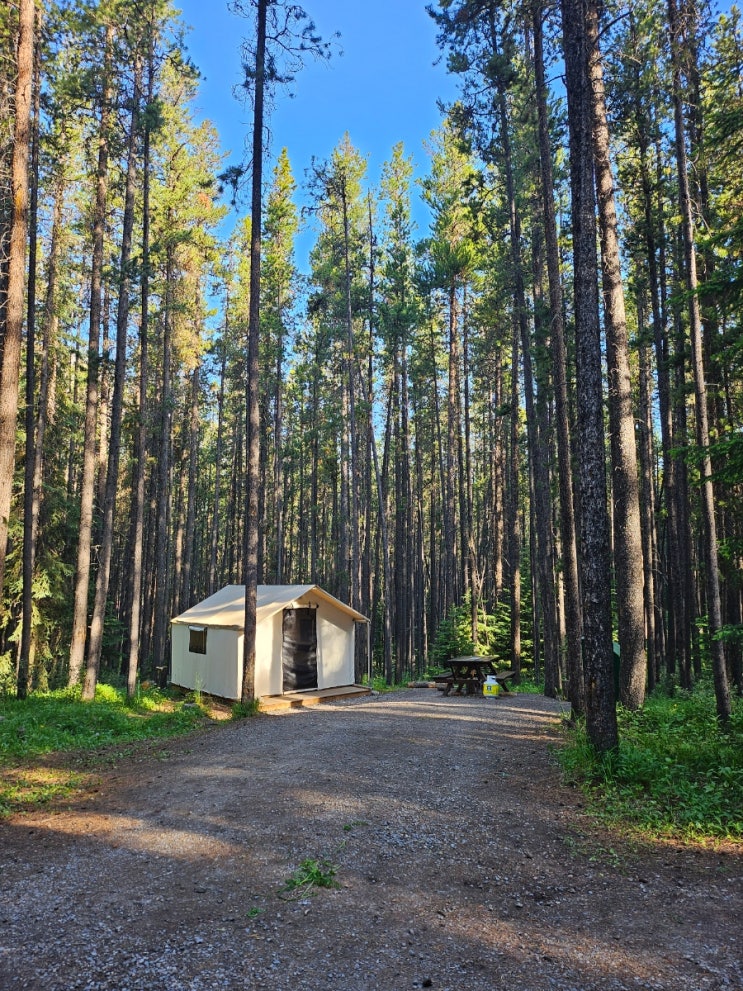 [밴프 여행] 밴프 투잭메인 캠핑장(Two Jack Main Campground) 이용후기(박쥐를 만나다) / 준비물(허쉬스모어 ...