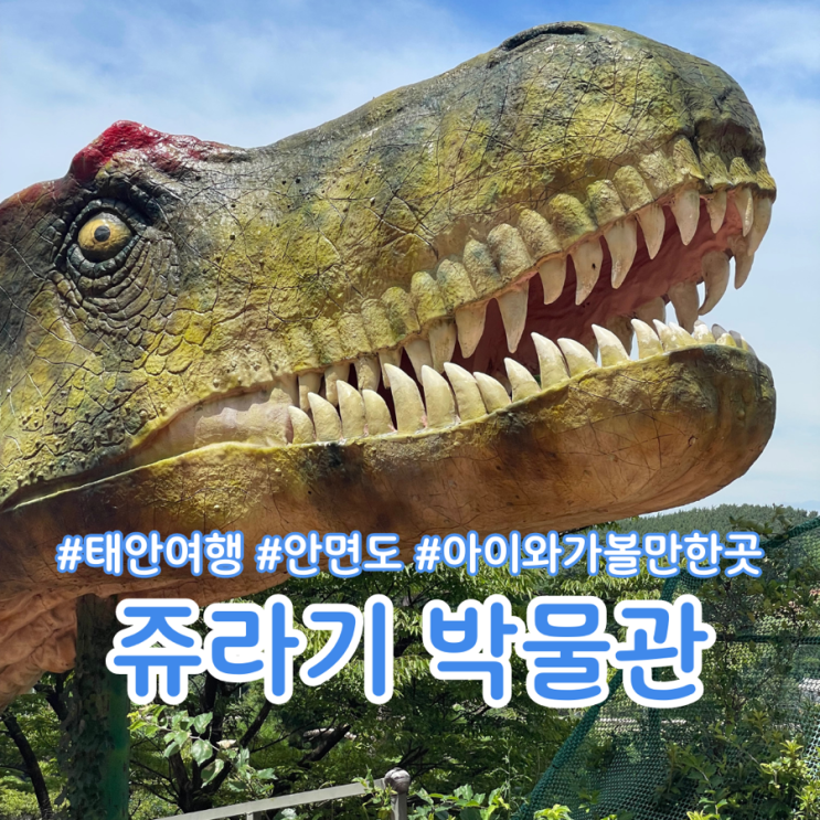 태안 안면도 아이와가볼만한곳 쥬라기박물관 입장료 체험 정보 네이버 블로그
