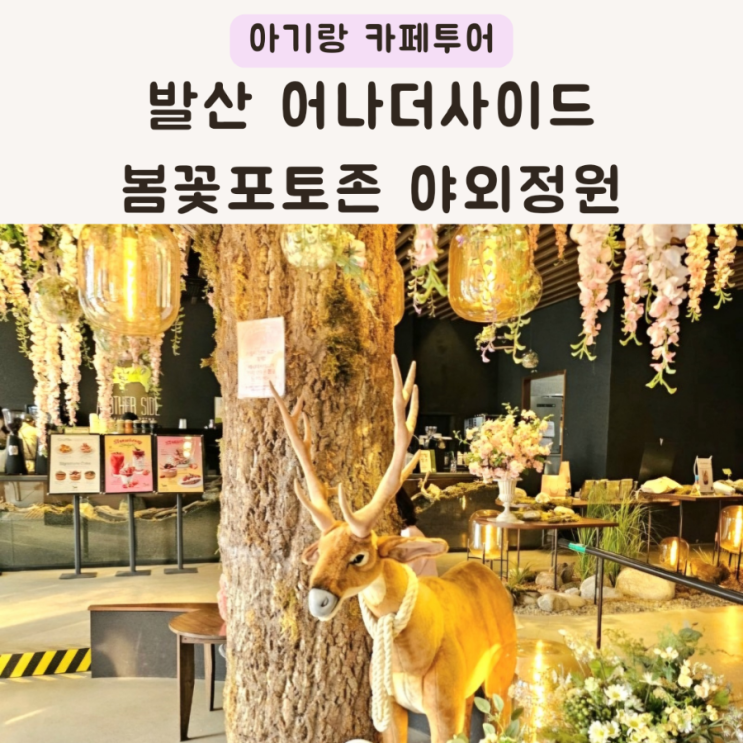 아기랑 발산 어나더사이드 우장산 대형 카페 주차 봄꽃 포토존 야외 정원 네이버 블로그