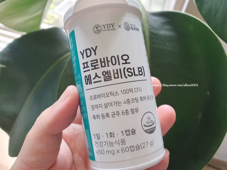 장 유산균 추천! YDY 프로바이오 에스엘비 약들약유산균 장유산균 : 네이버 블로그
