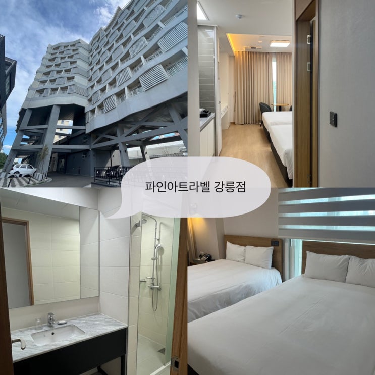 강원도 강릉 안목해변 근처 숙소 추천 파인아트라벨 디럭스 패밀리 파인뷰 네이버 블로그