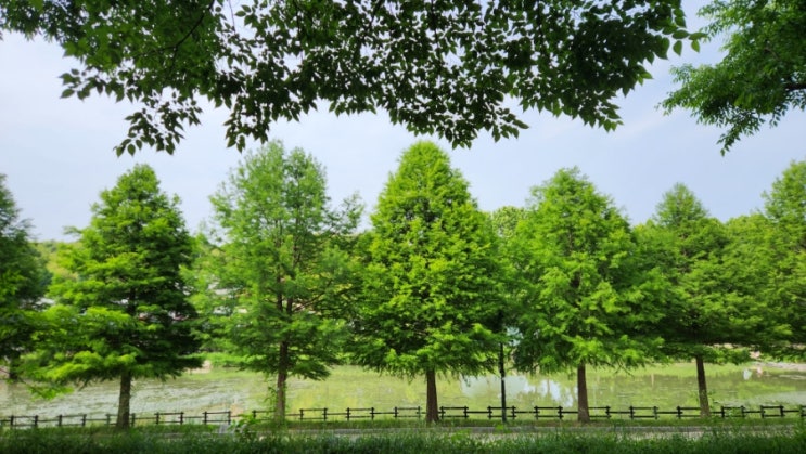 (7.29) 산업안전지도사3차, 기출-24( TBM공법 버력처리, 터널작업 환기방법 및 안전수칙, 스프링라인, 교량공사 안전수칙) : 네이버 블로그