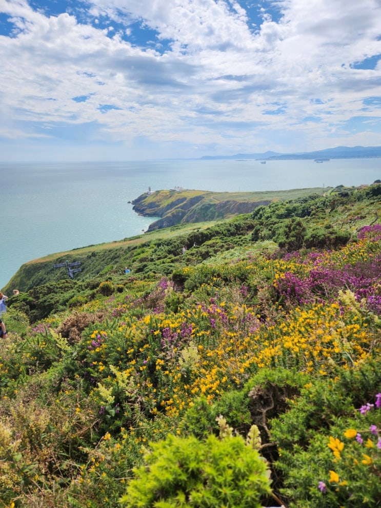 2024년 여름 아일랜드 여행 Howth 트레킹(7월 29일) : 네이버 블로그
