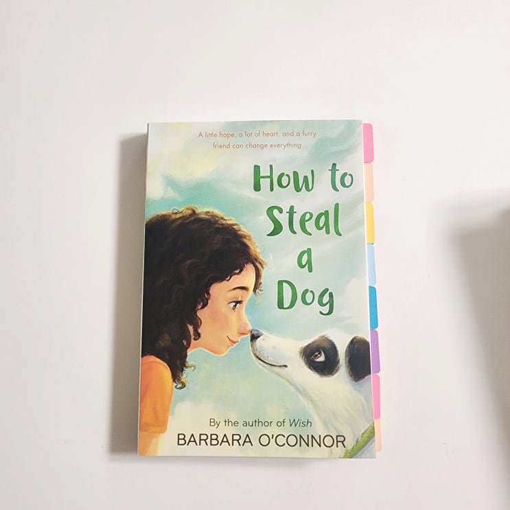 How to Steal a Dog - Barbara O'Connor 개를 훔치는 완벽한 방법 (202407) 단어, 표현 정리 ...