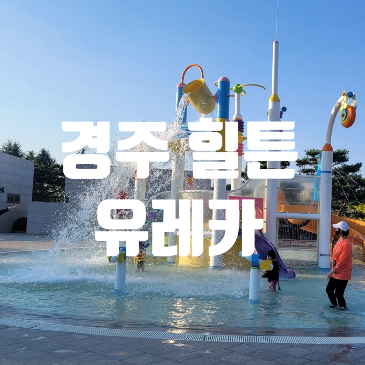 경주 힐튼호텔 유레카, 실내/야외 수영장 할인 이용 필수 꿀팁 : 네이버 블로그