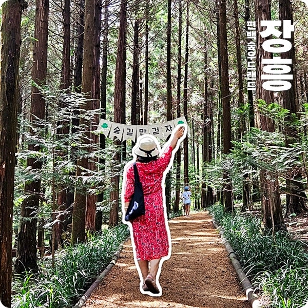 전라남도여행 장흥 가볼만한곳 정남진장흥토요시장 편백숲 우드랜드 휴양림 억불산 네이버 블로그