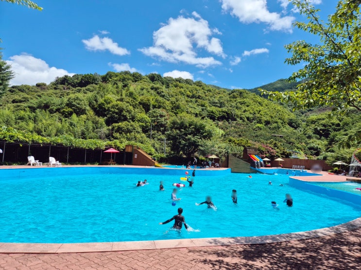 [산청, 진주] 계곡물 사용하는 산속 대형 수영장 '서지관광농원 수영장' : 네이버 블로그