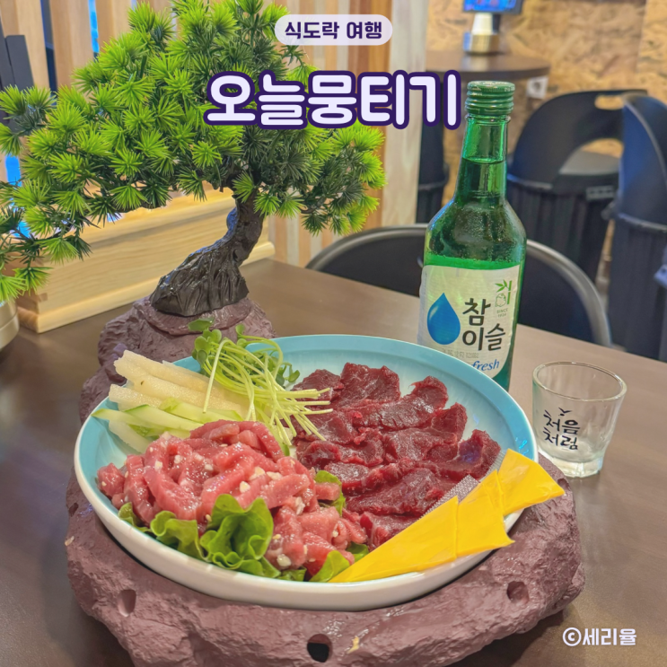 인천 가정동 루원시티 맛집 오늘뭉티기 육사시미 육회 네이버 블로그